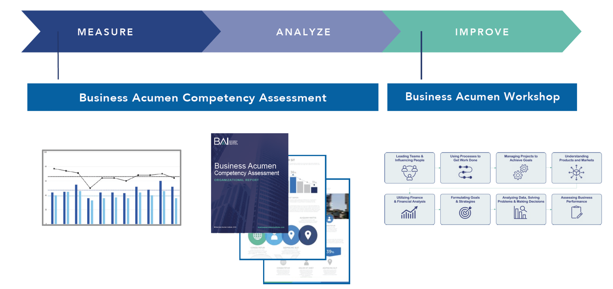 Business Acumen Competency Assessment | Business Acumen Institute